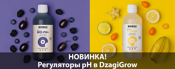 DzagiGrow - оборудование и удобрения для выращивания в домашних условиях